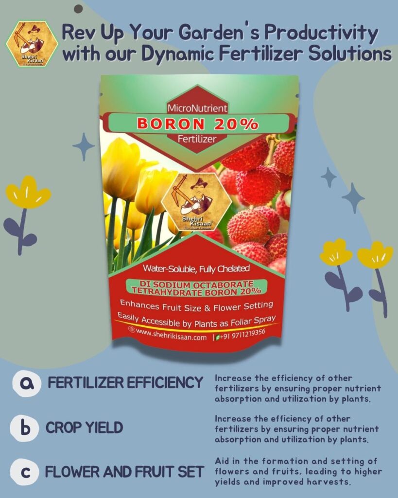 Micro Nutrients Boron 20% Fertilizer- SHEHRI KISAAN