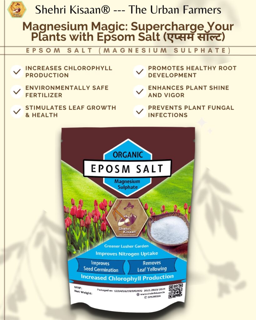 Organic Epsom Salt Fertilizer (Magnesium Sulphate)