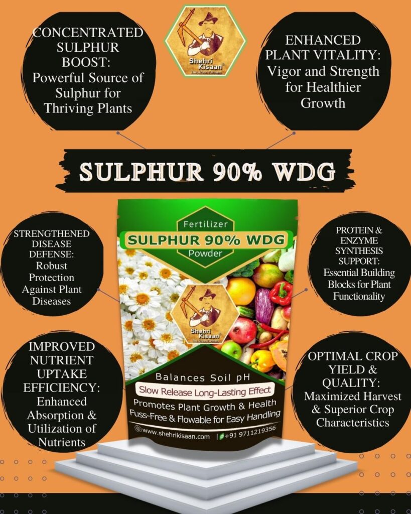 Sulphur 90% WDG - SHEHRI KISAAN