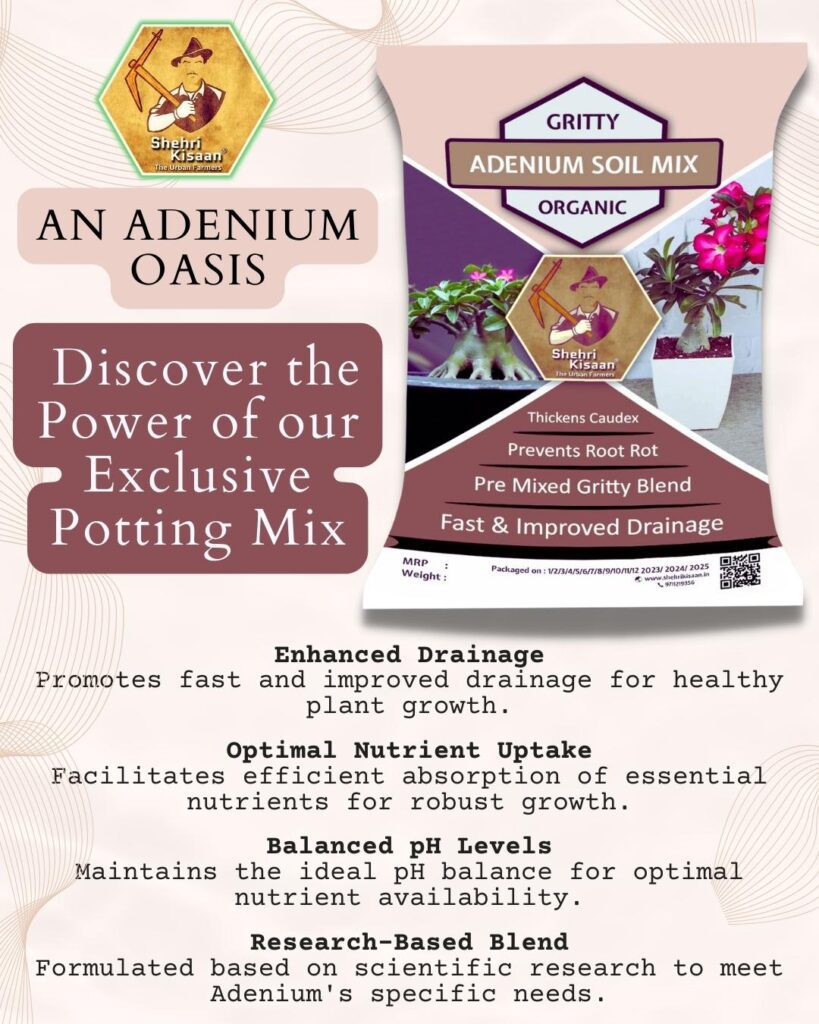 Adenium Soil Mix - Shehri Kisaan® - The Urban Farmers