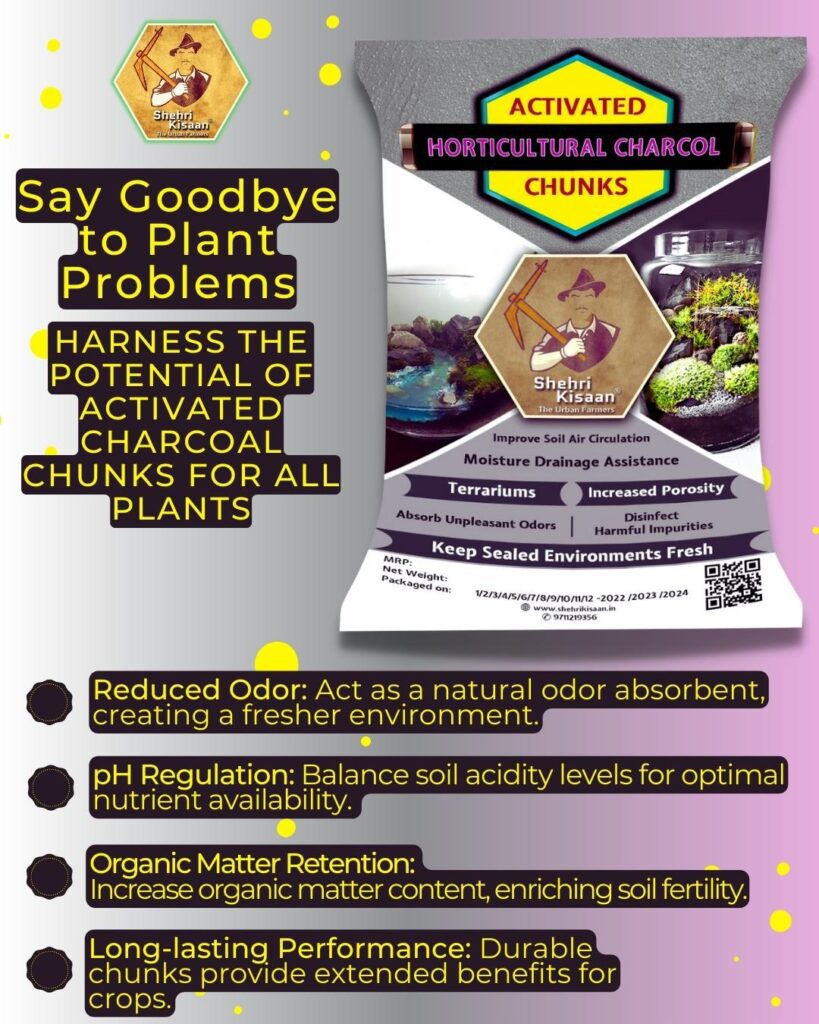 10 Extraordinary Benefits of Activated Charcoal Chunks for Urban Farming