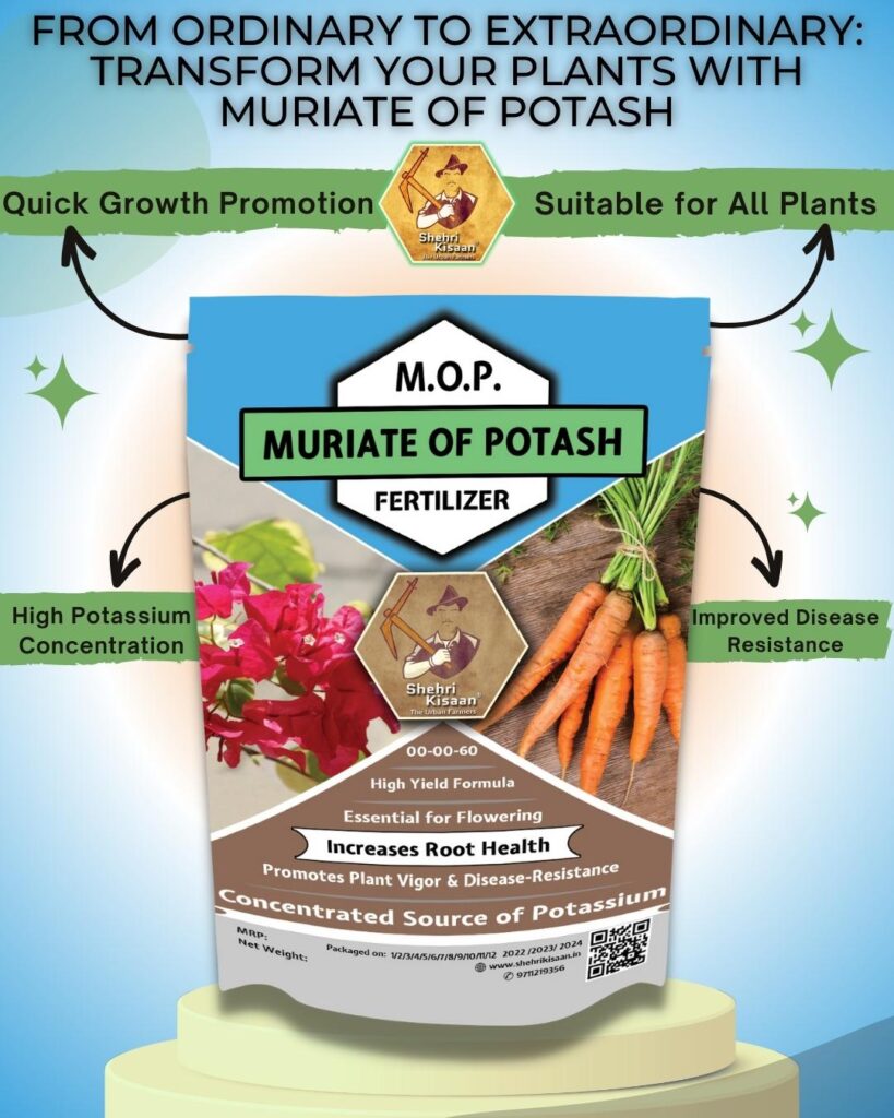 Muriate of Potash - MOP