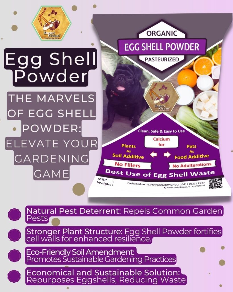 Organic Egg Shell Powder For Plants - SHEHRI KISAAN