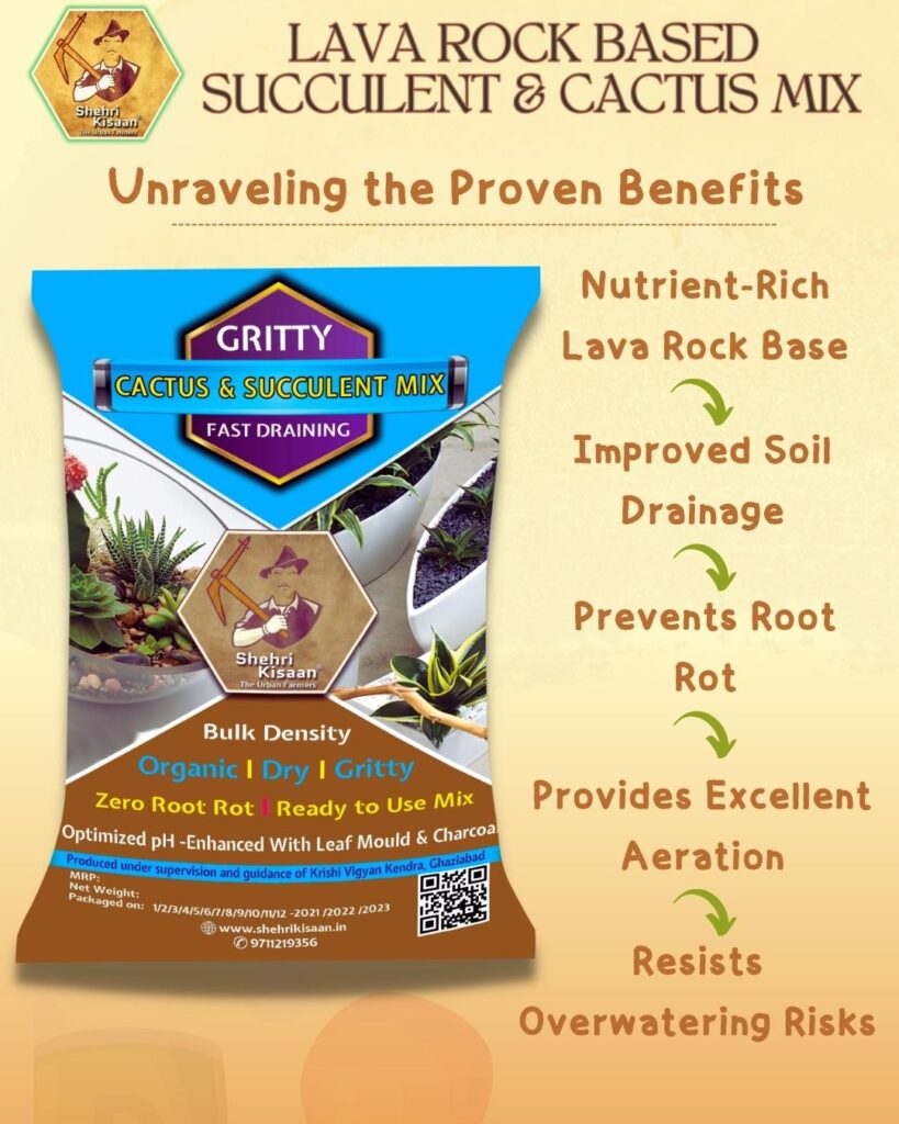Lava Rock Based Succulent & Cactus Mix - SHEHRI KISAAN