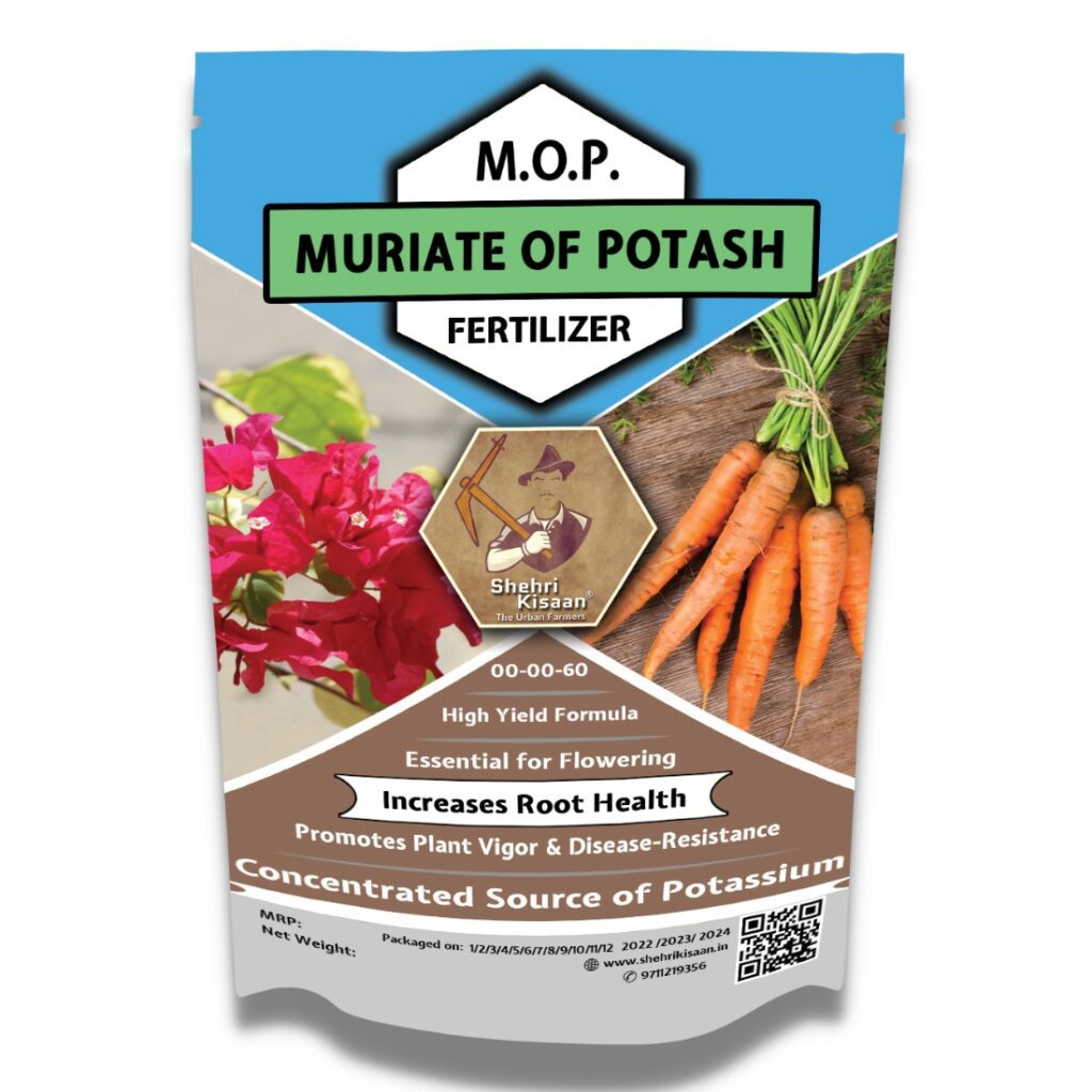 Muriate of Potash - MOP