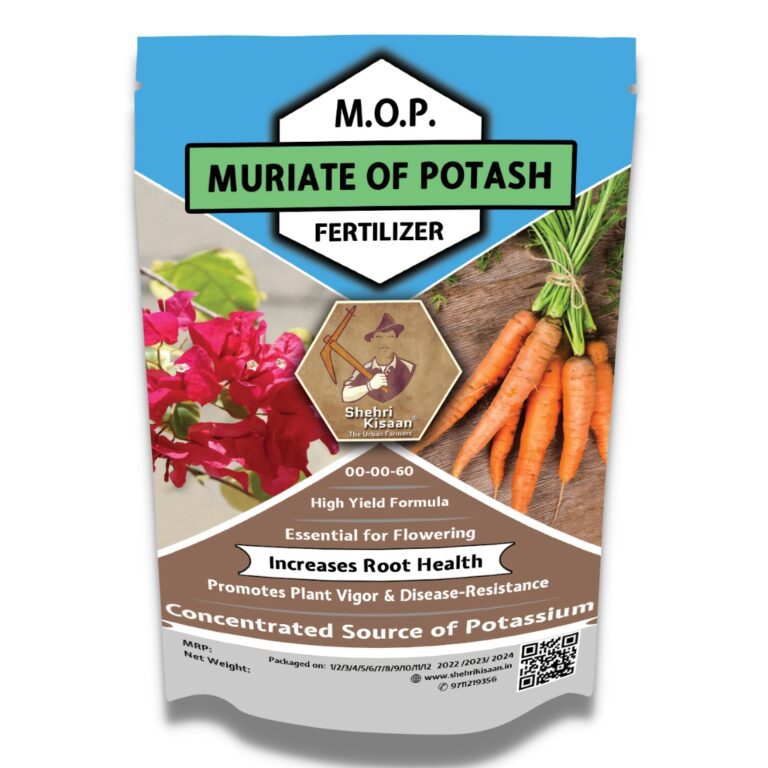 Muriate of Potash - MOP