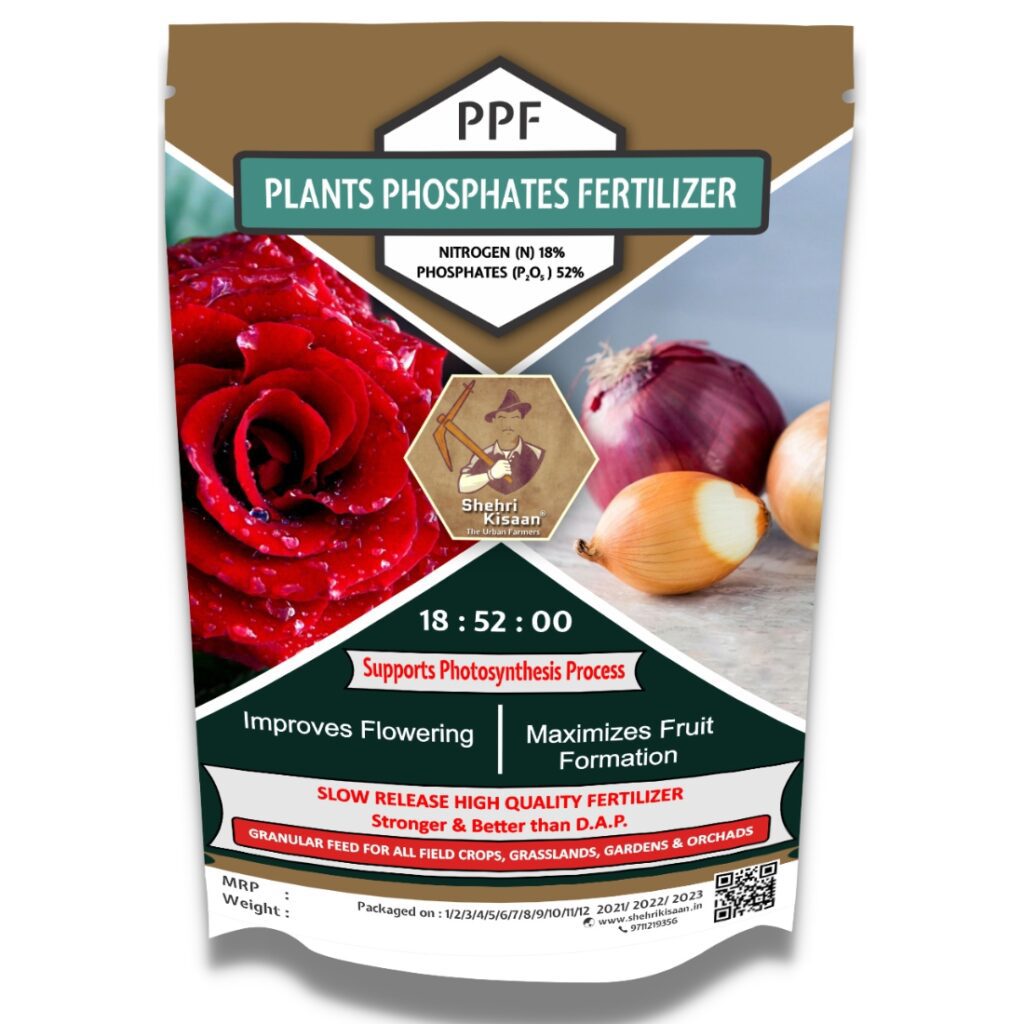 Single Super Phosphate Granular Fertilizer (SSP)