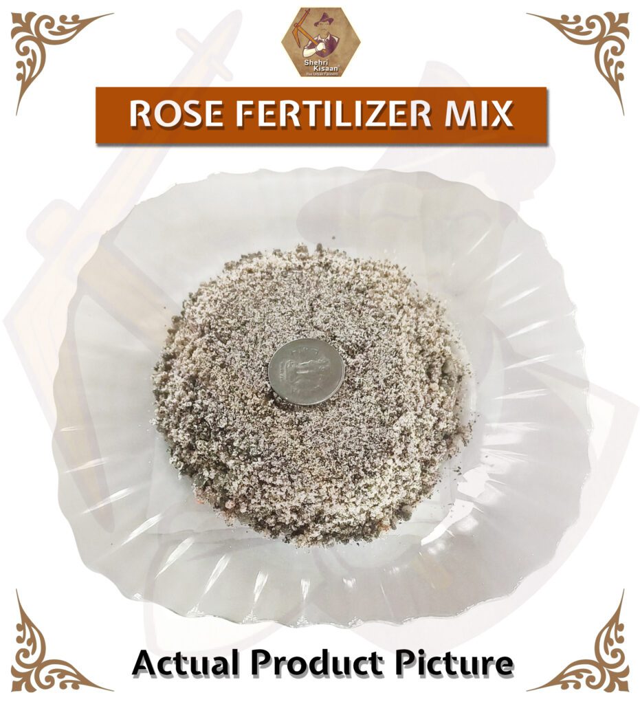 Rose Care Fertilizer Complete Micro and Macronutrients Fertilizer