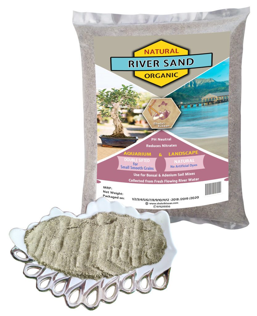 7 Benefits of Natural River Sand for Aquariums
