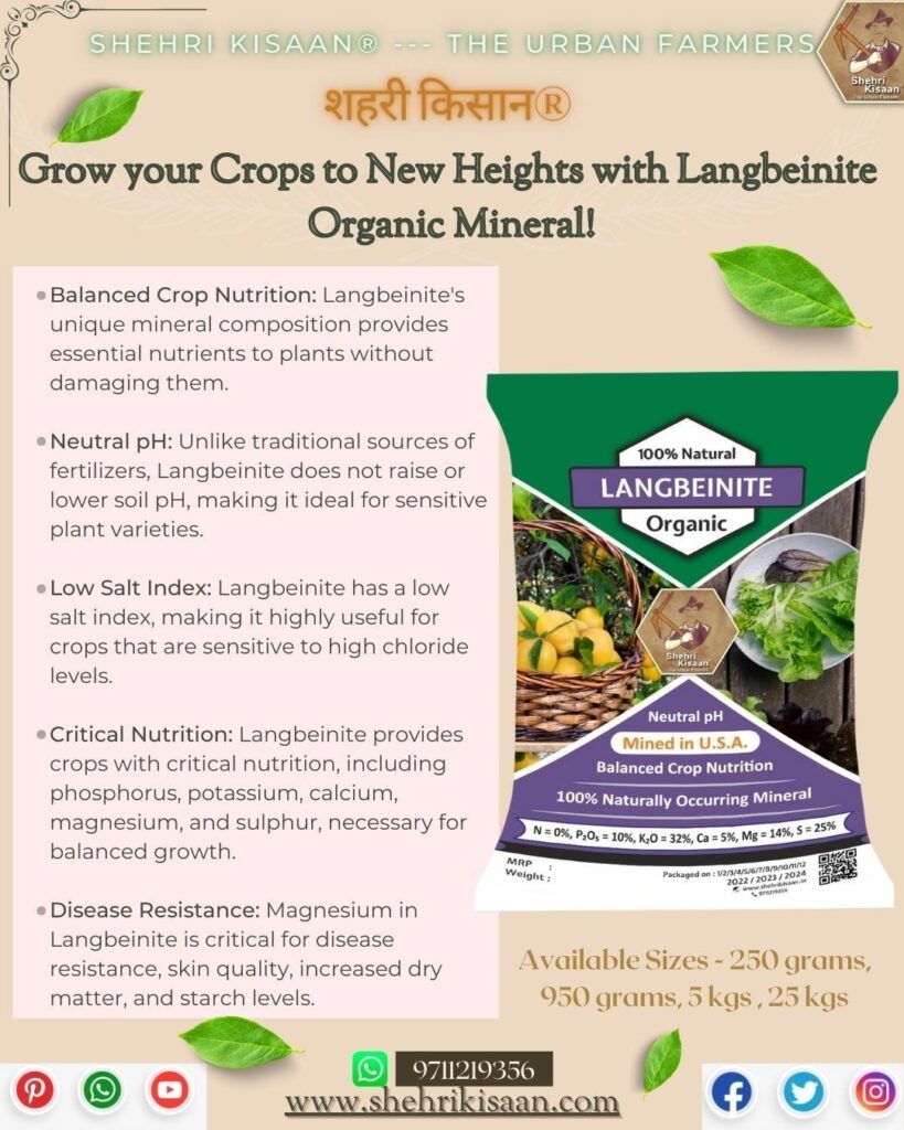 Langbeinite Organic Fertilizer