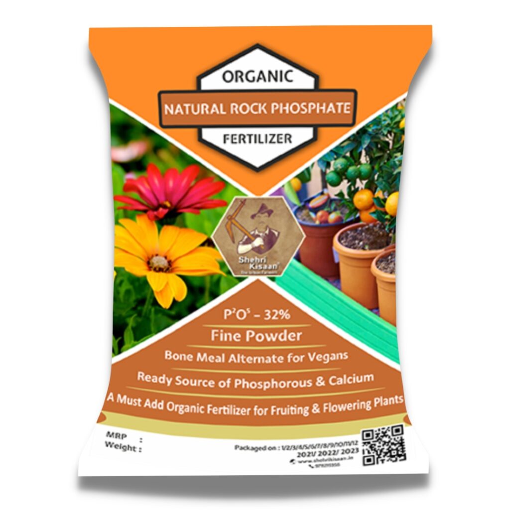 Single Super Phosphate Granular Fertilizer (SSP)