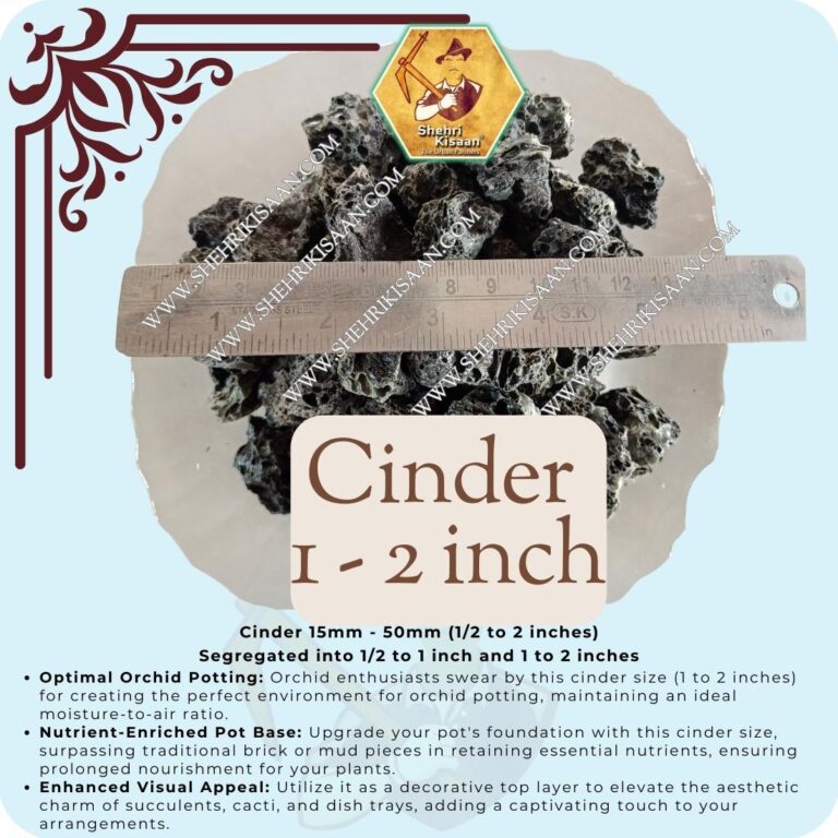 Washed Cinder for Plants Online: Great for Roses, Cactus, Succulents ...