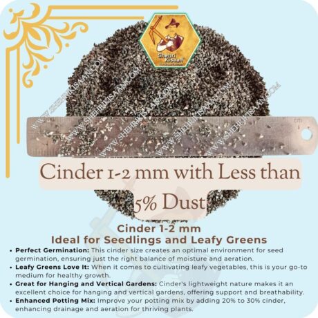 Washed Cinder for Plants Online: Great for Roses, Cactus, Succulents ...