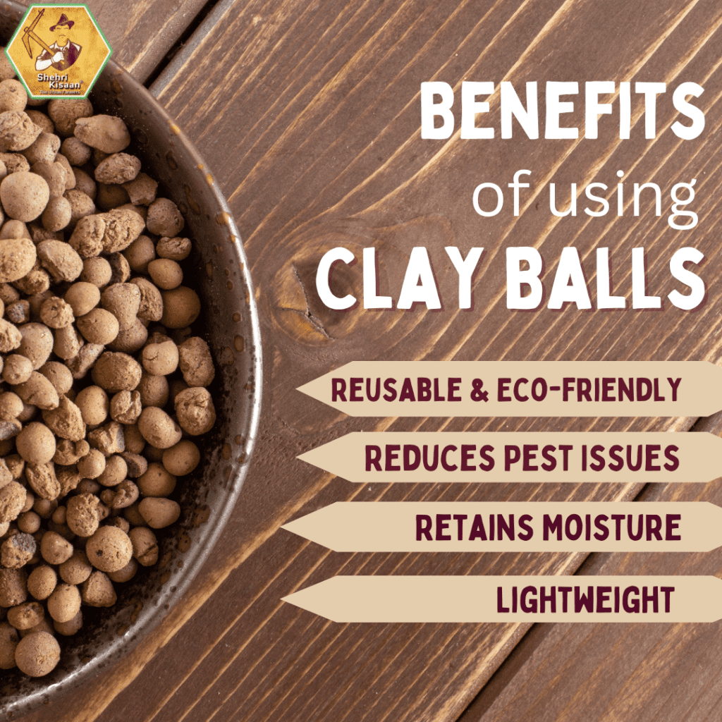 Leca Clay Balls for Plants: Perfect for Cacti, Succulents, Orchids ...